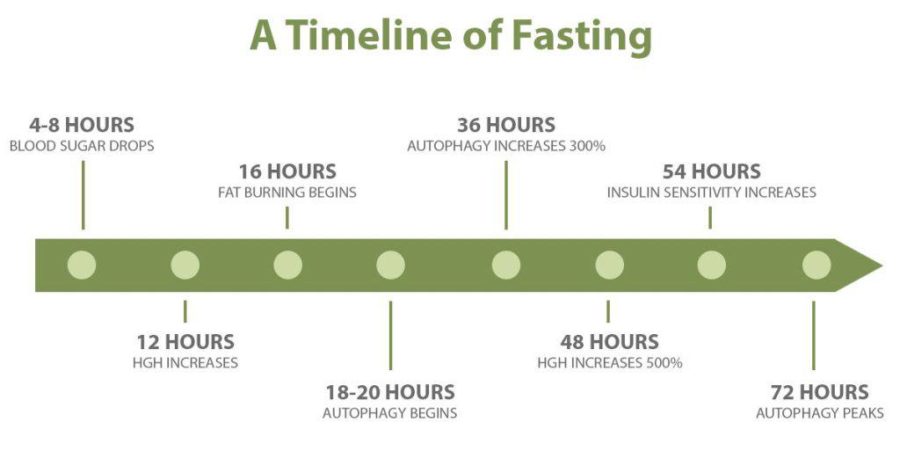 Intermittent Fasting bantu proses Autophagy | Nina Salleh