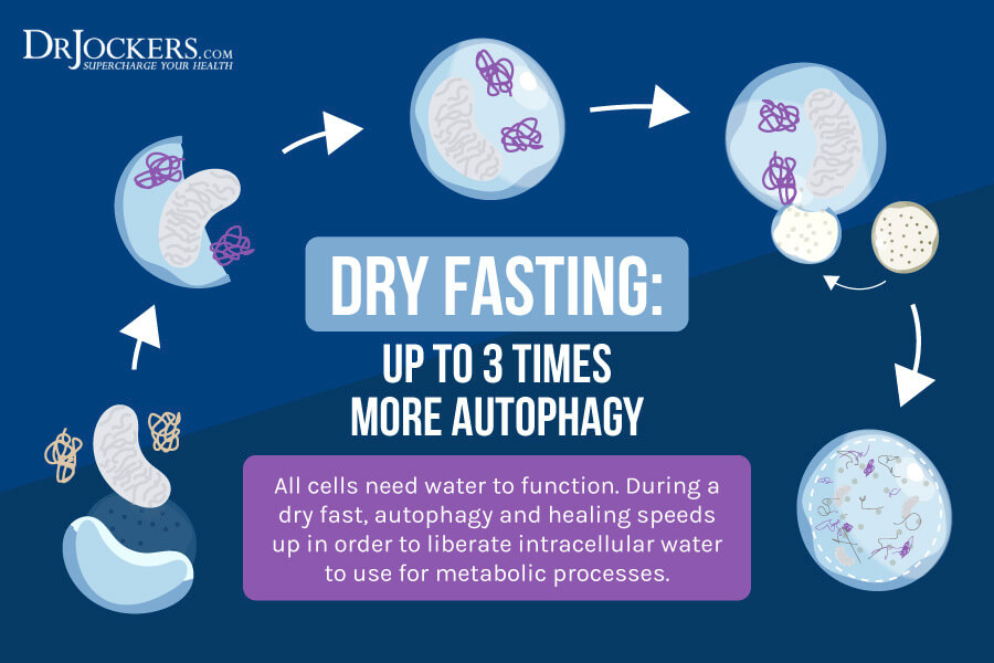 Intermittent Fasting bantu proses Autophagy | Nina Salleh