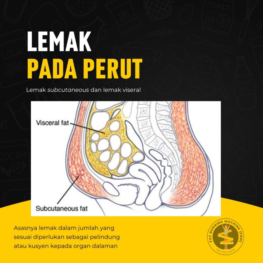 Cara Hilangkan Perut Buncit Pada Wanita | Nina Salleh